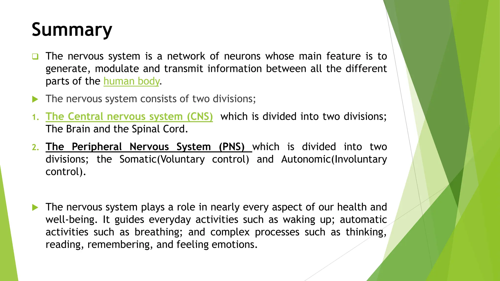 The Nervous System Science 10 lesson for third quarter.pptx