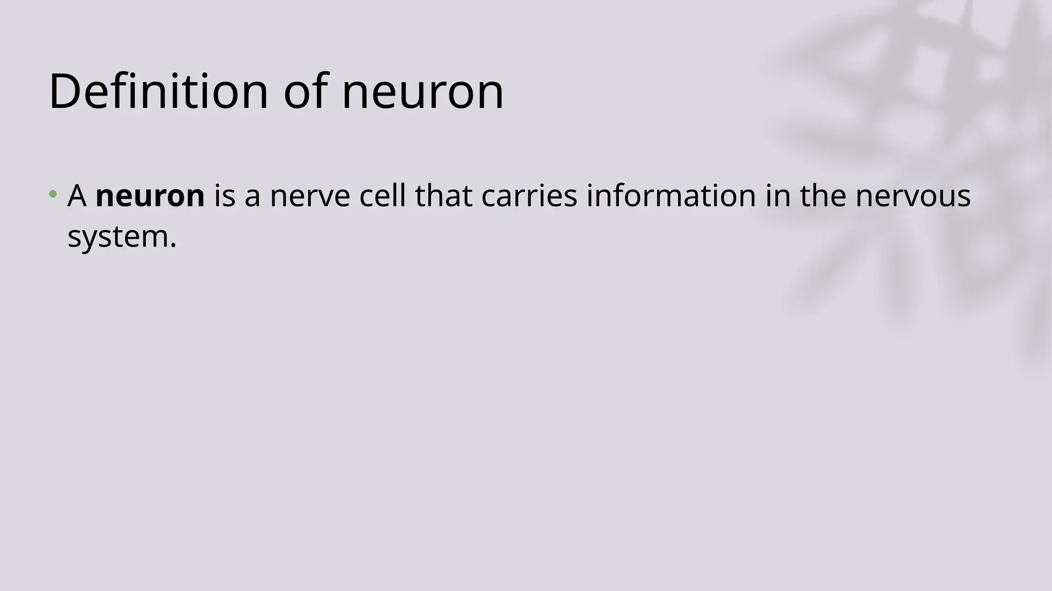 The nervous system, a PowerPoint regarding the nervous system | PPT