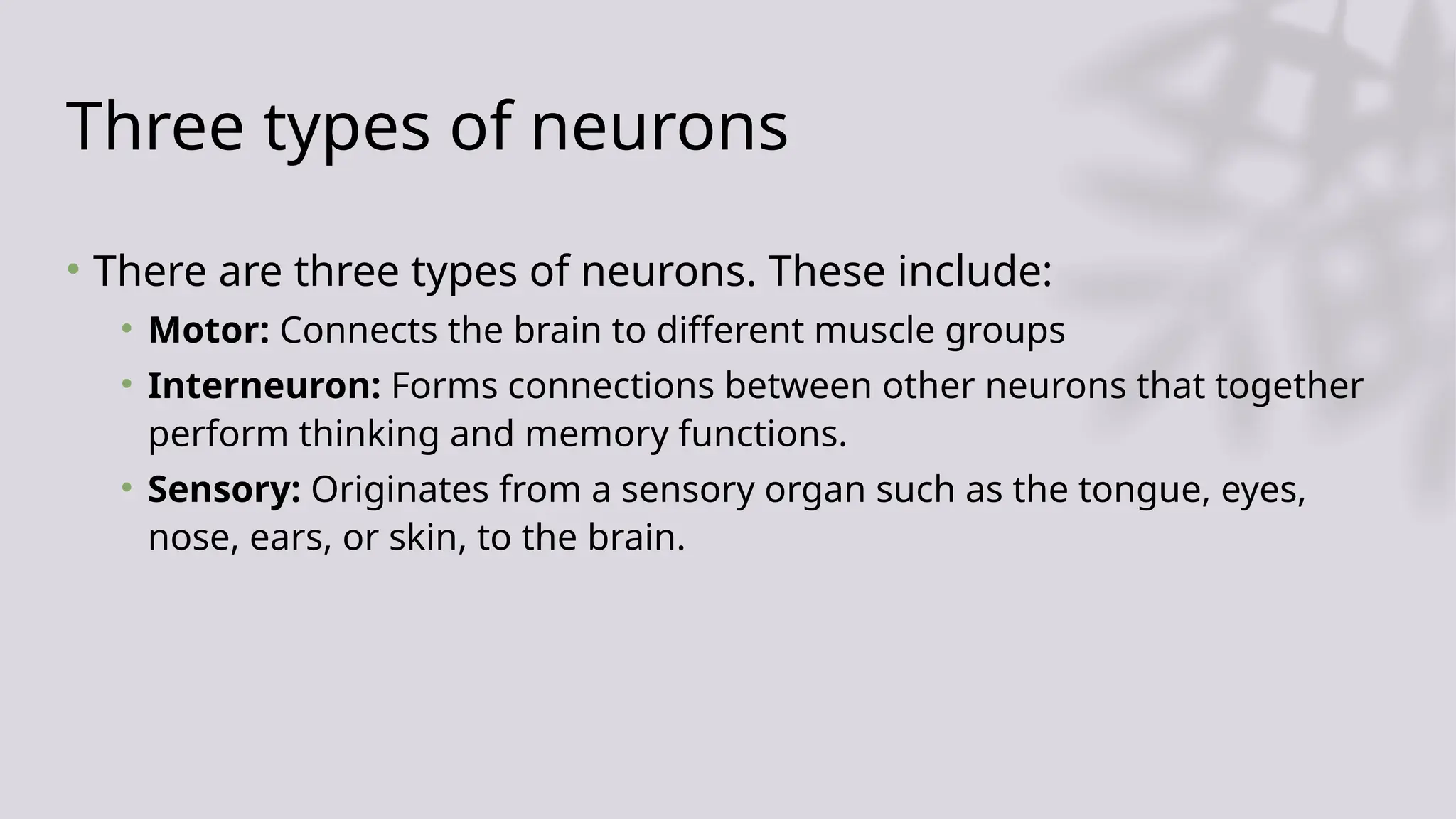 The nervous system, a PowerPoint regarding the nervous system | PPT
