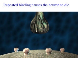 The Nervous System Grade 6, parts and functions | PPT