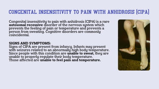 THE NERVOUS the nervous system the nervous system SYSTEM.pdf
