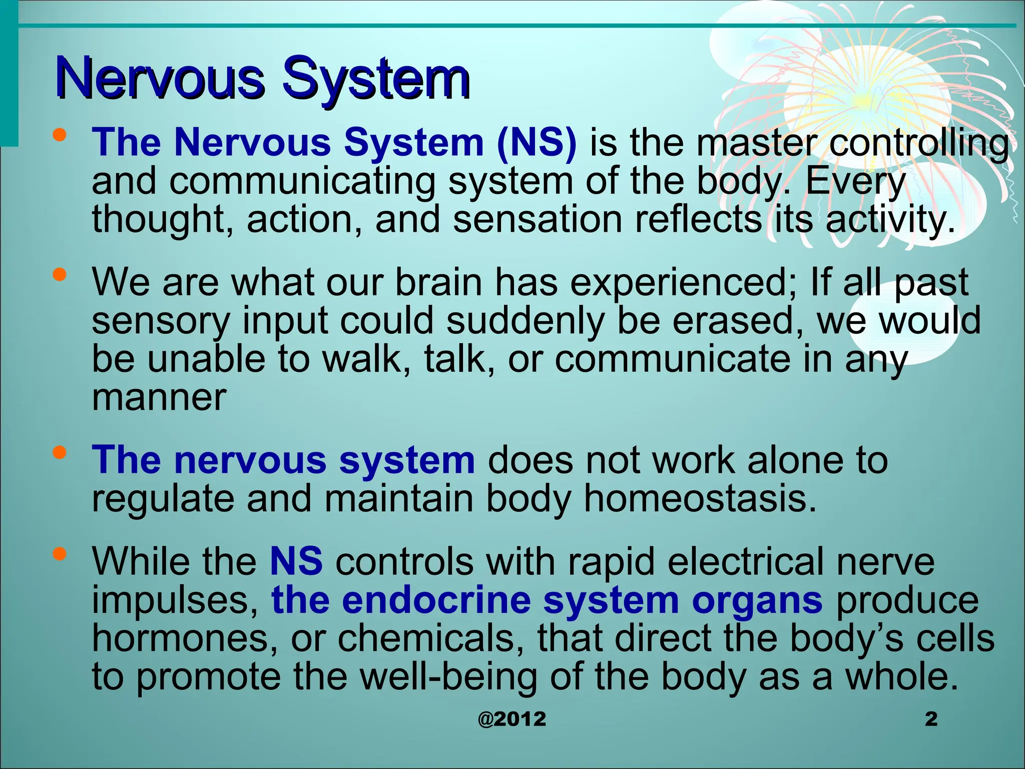The Nervous System.power point presentation | PPT