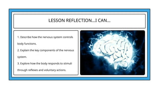 The Nervous System.pptx.pptx SCIENCE GRADE 6 | PPTX