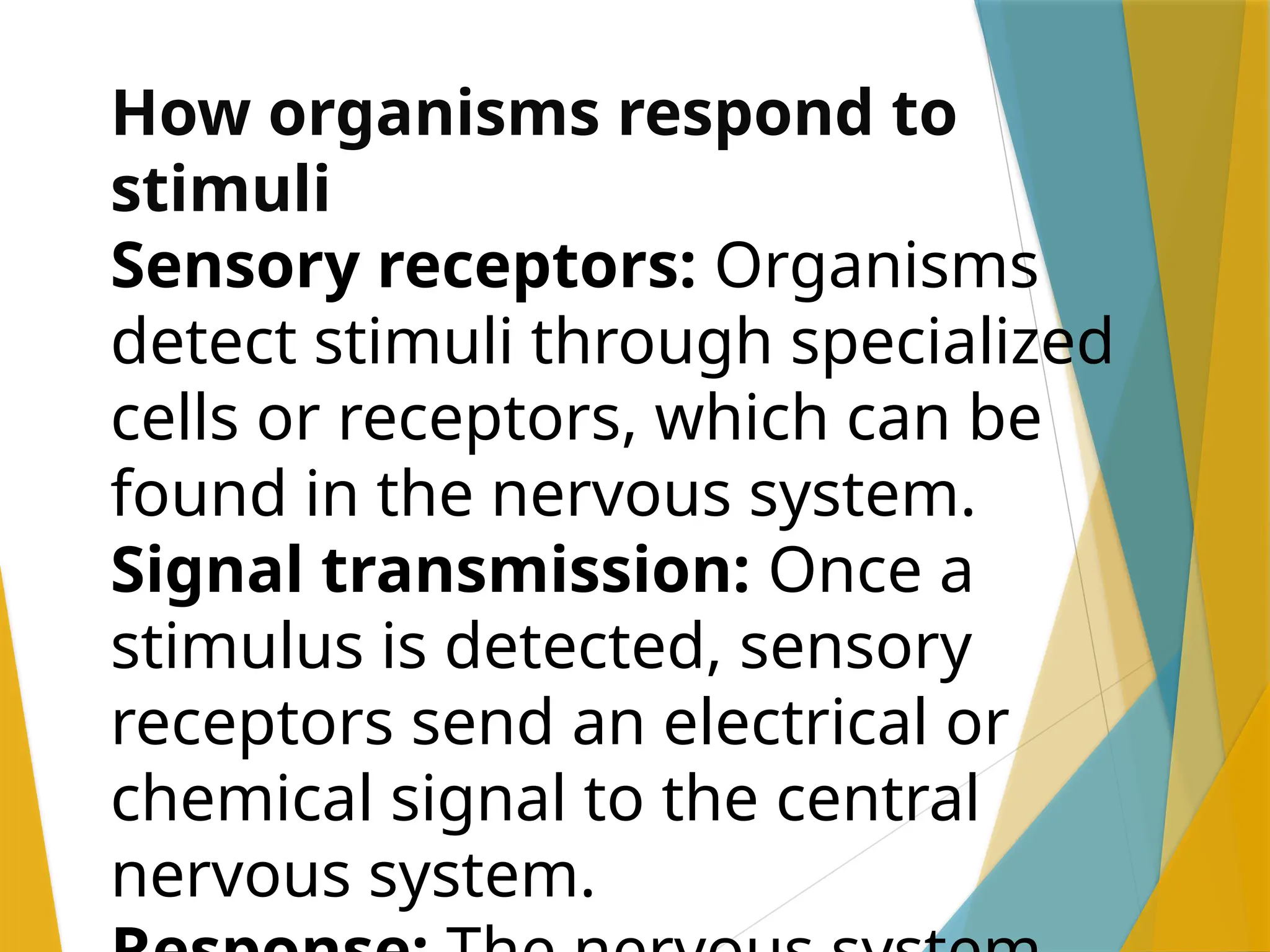 The Nervous System.pptx power point presentation | PPTX