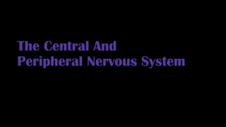 The Nervous System (Peripheral and Central Nervous System) | PPTX