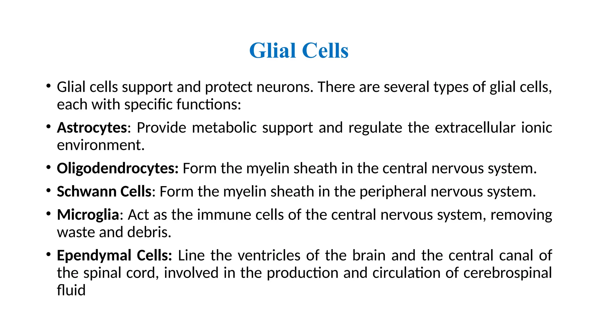 The Nervous System: Anatomy and Physiology.pptx