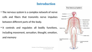 The Nervous System: Anatomy and Physiology.pptx