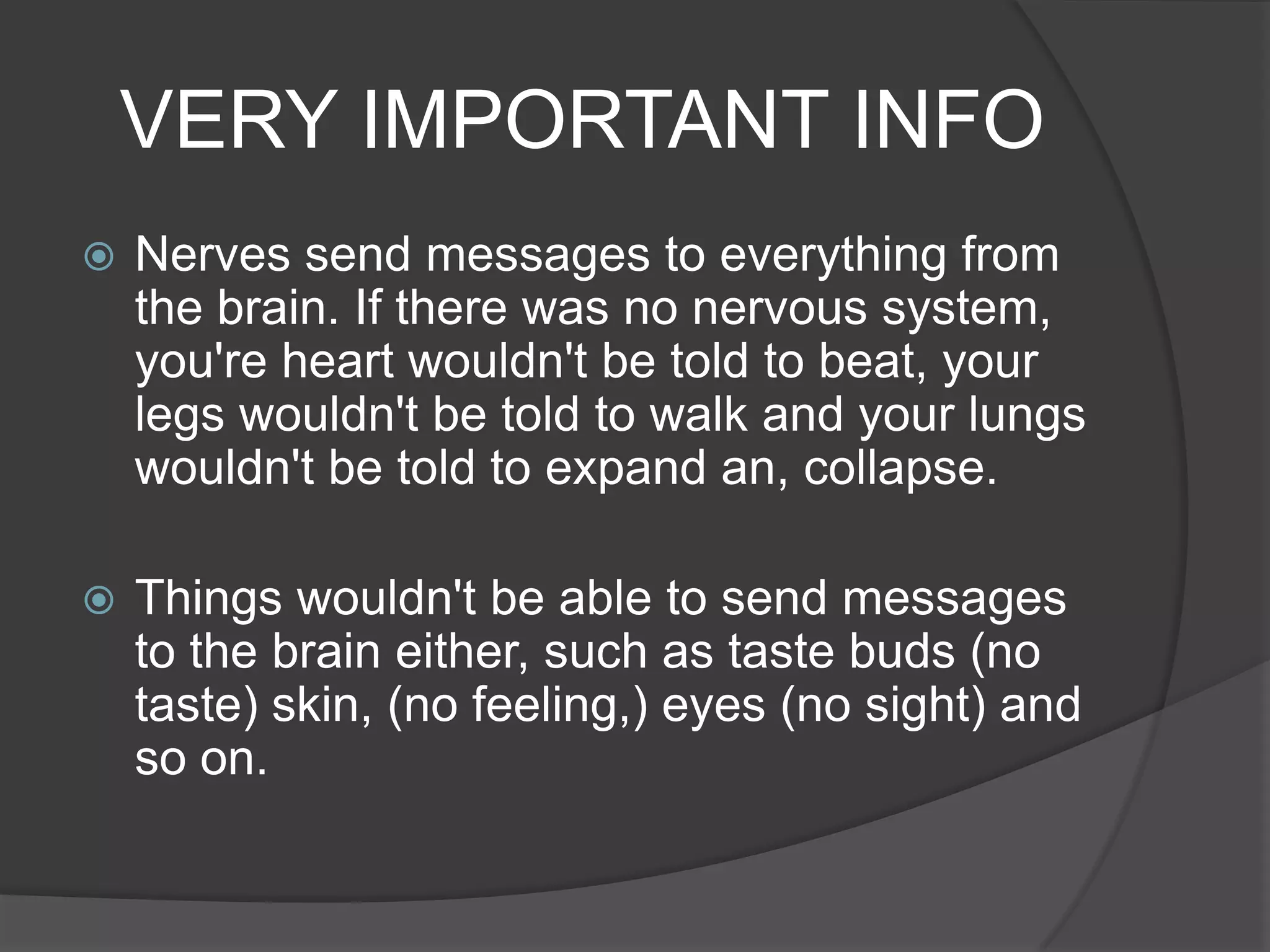 The Nervous System At A Glance | PPT
