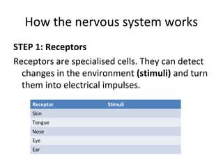 The nervous system b1 | PPT