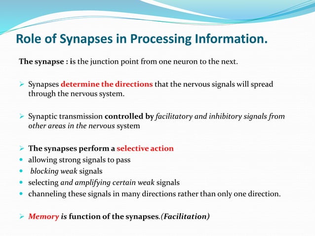 General Physiology - The nervous system, basic functions of synapses | PPTX | Brain and Nervous ...