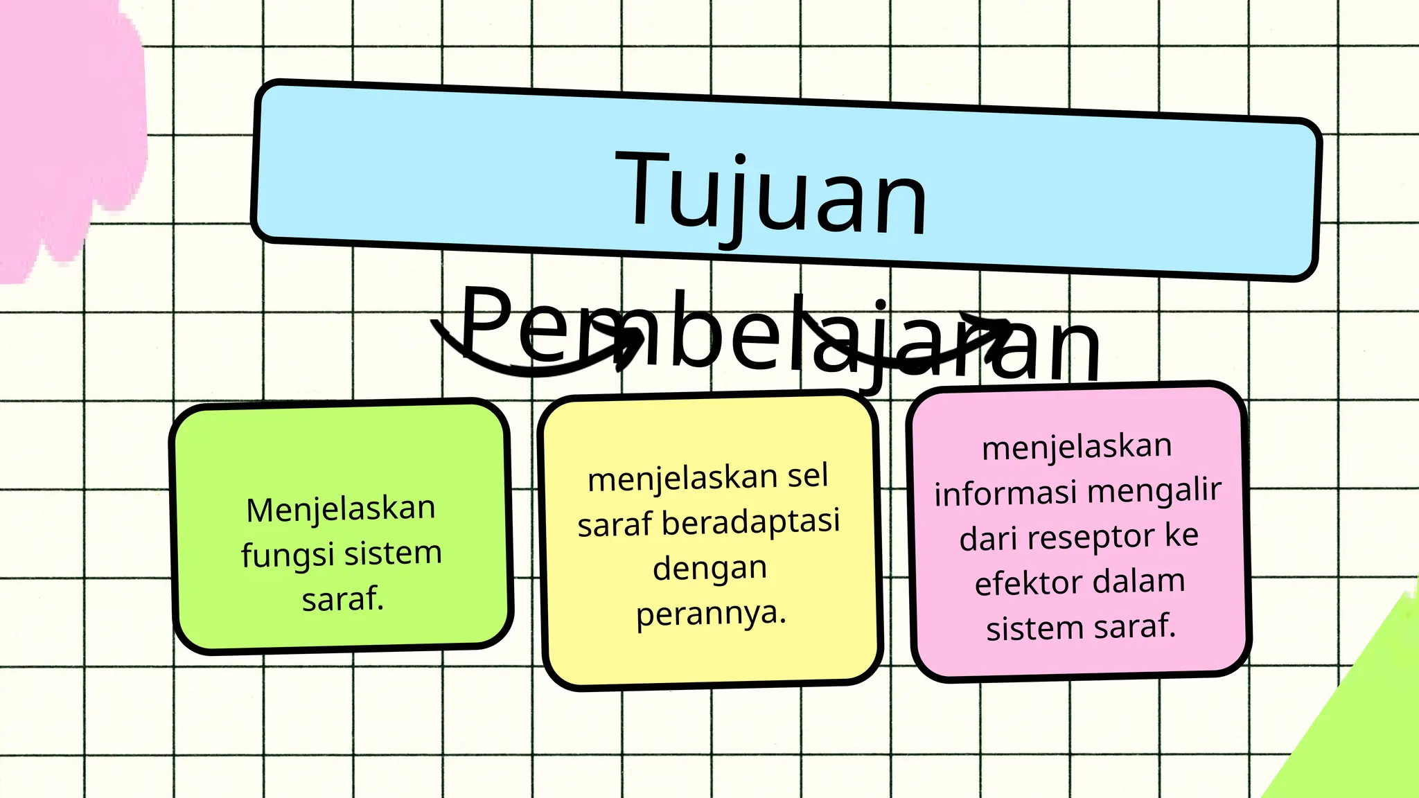 The Nervous System Biology Presentation in a Colorful Style.pptx
