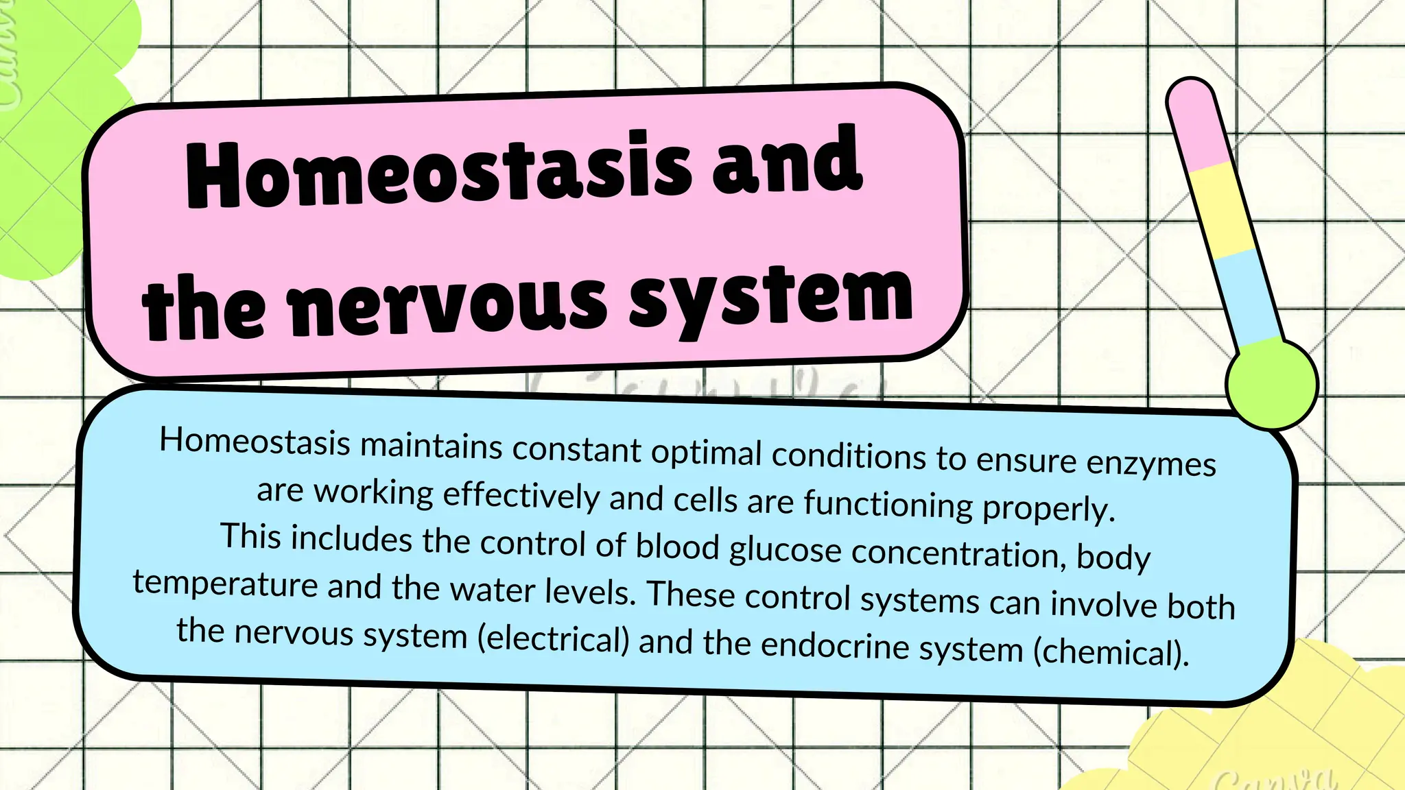 The Nervous System Presentation (Different Parts) | PDF
