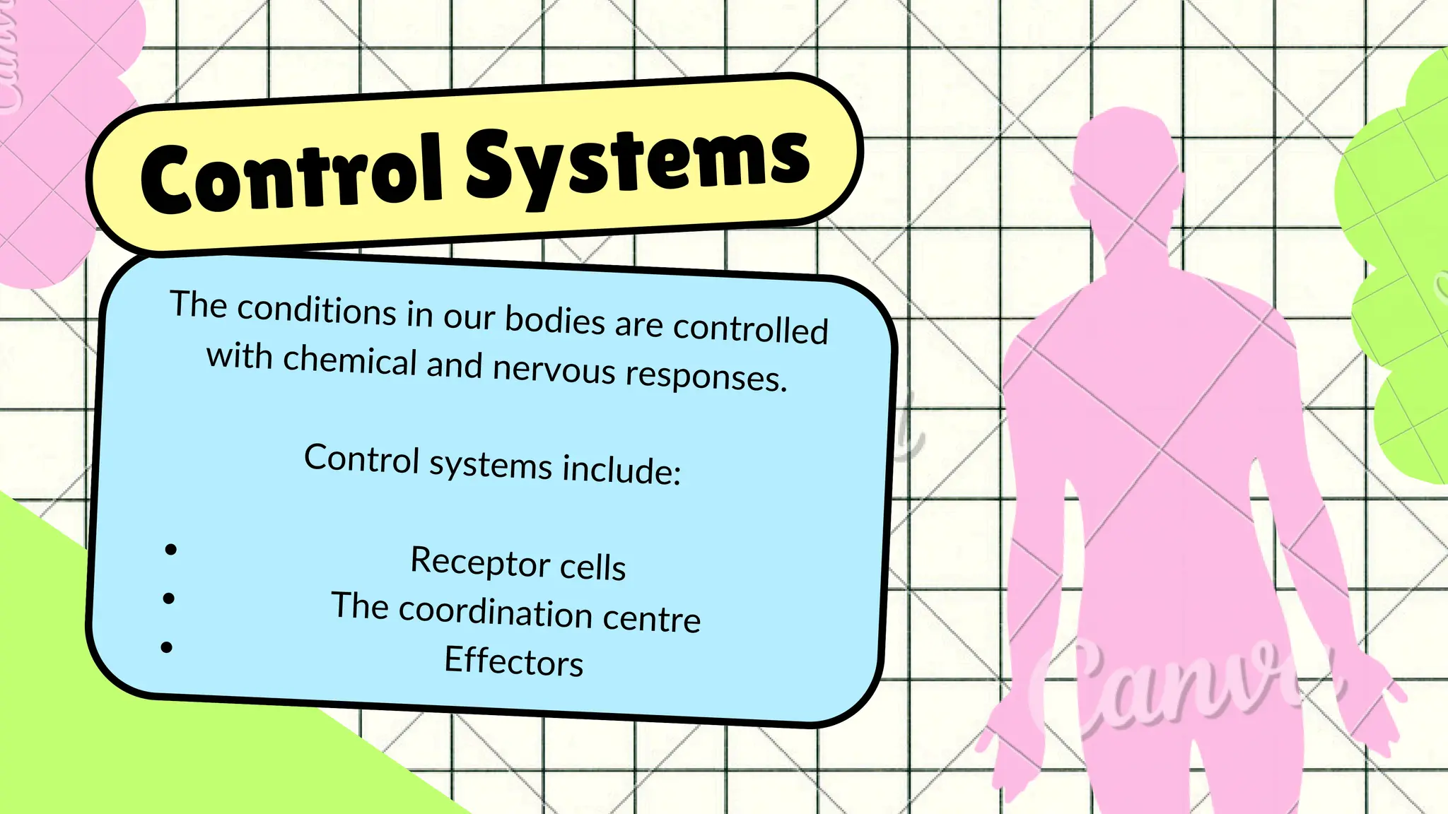 The Nervous System Presentation (Different Parts) | PDF