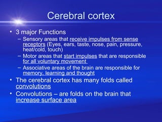 chap 3 psychologythe nervous system pp.ppt