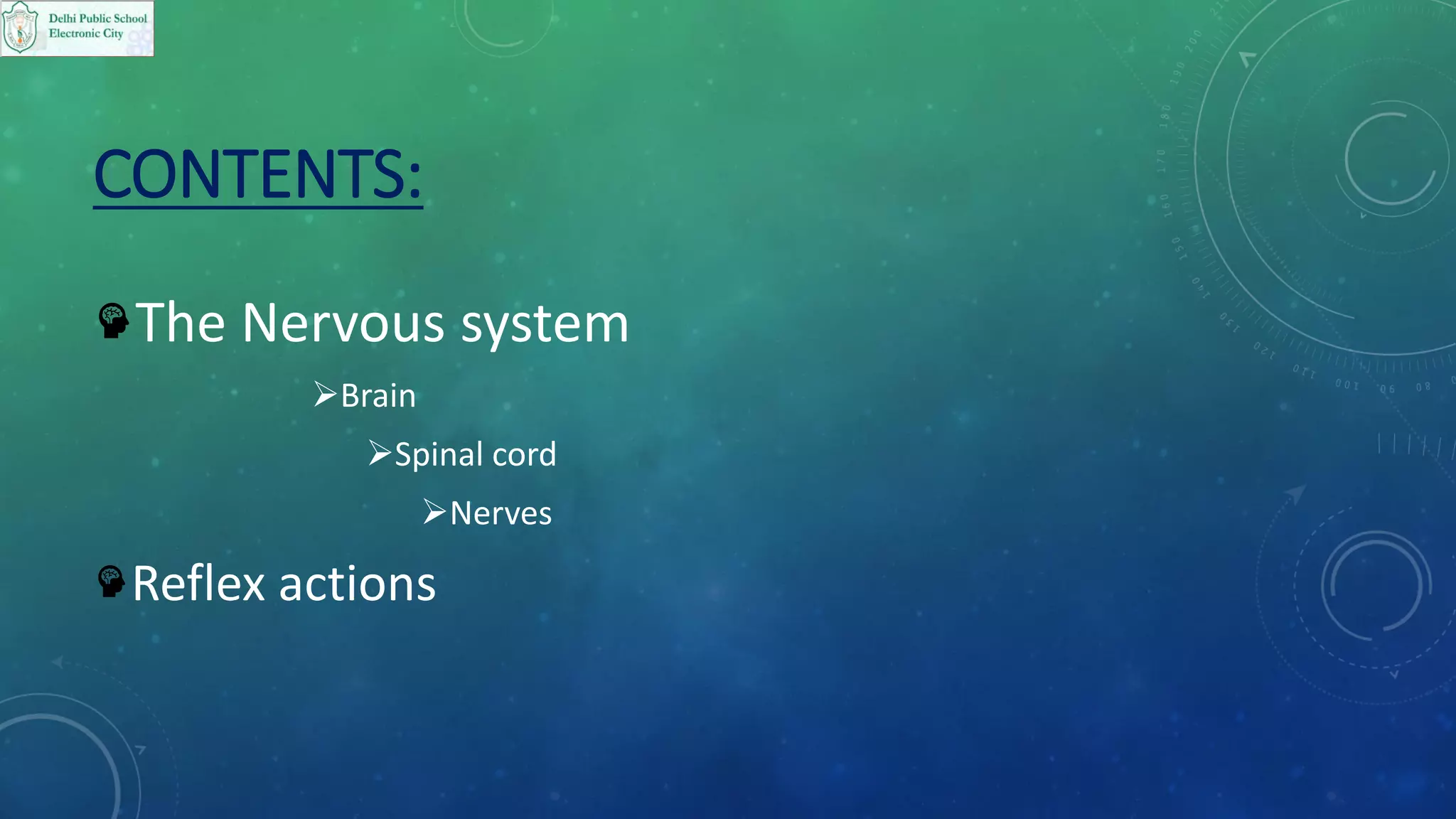 The Nervous System PPT.pdf