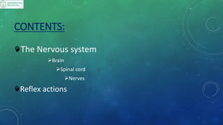 The Nervous System PPT.pdf
