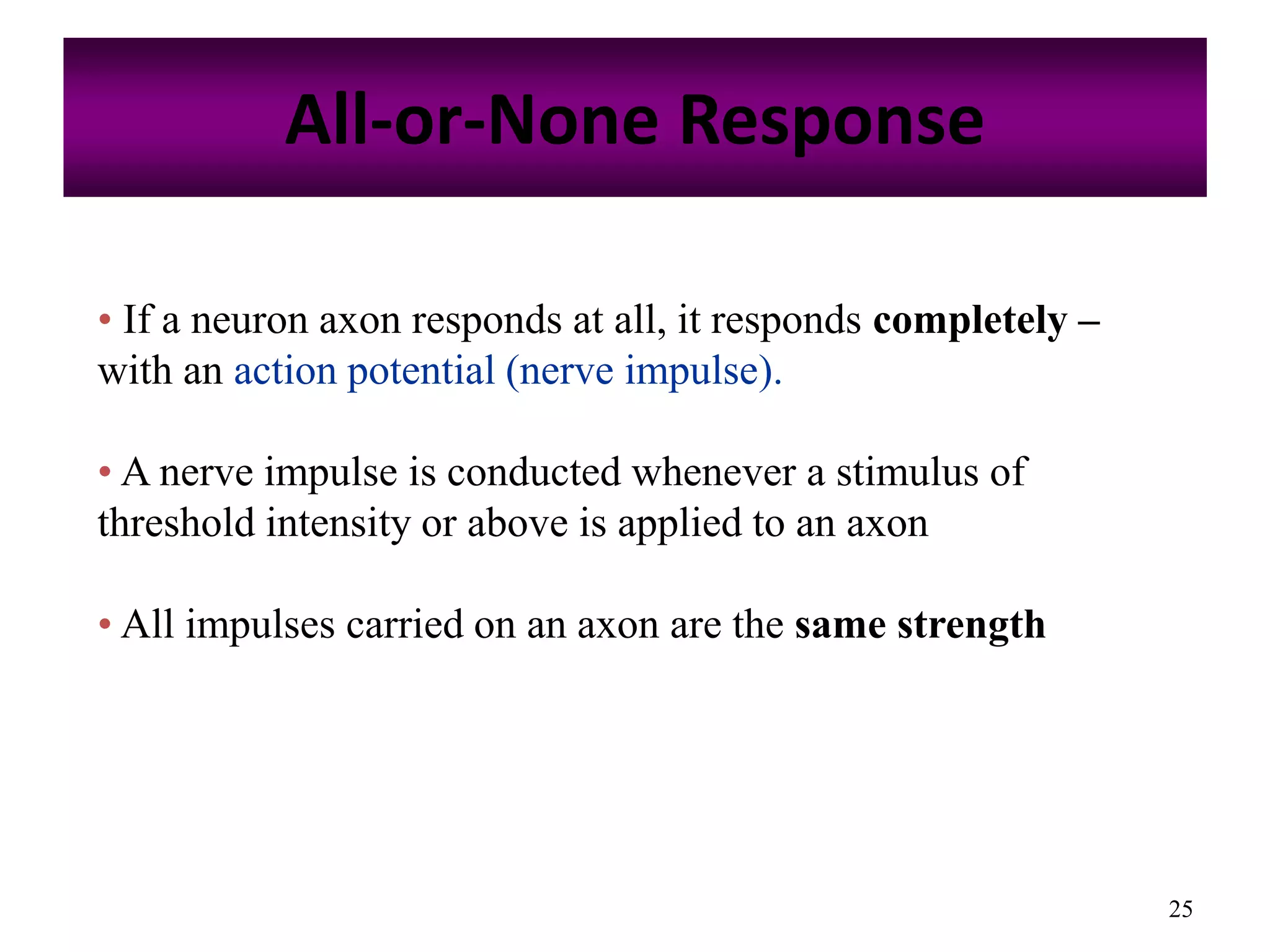 The nervous system presentation dawn part 2 | PPTX