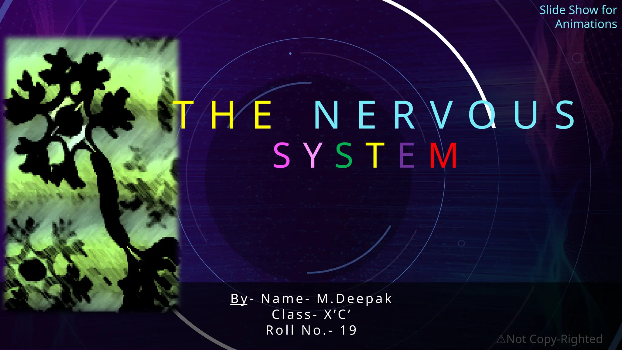 THE NERVOUS SYSTEM (school presentation) -- by deepak.pptx