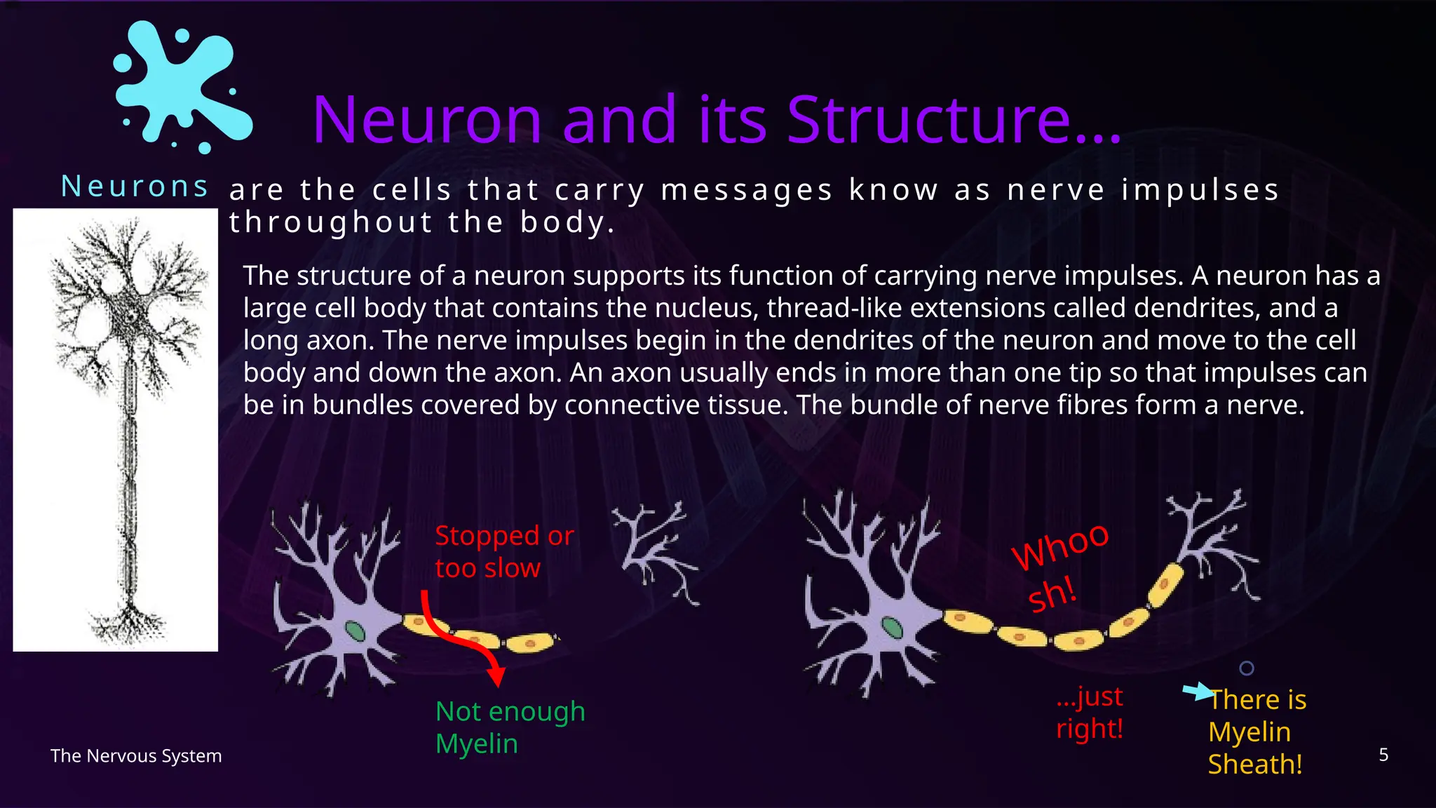 THE NERVOUS SYSTEM (school presentation) -- by deepak.pptx