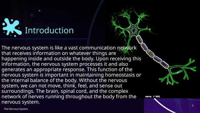 THE NERVOUS SYSTEM (school presentation) -- by deepak.pptx