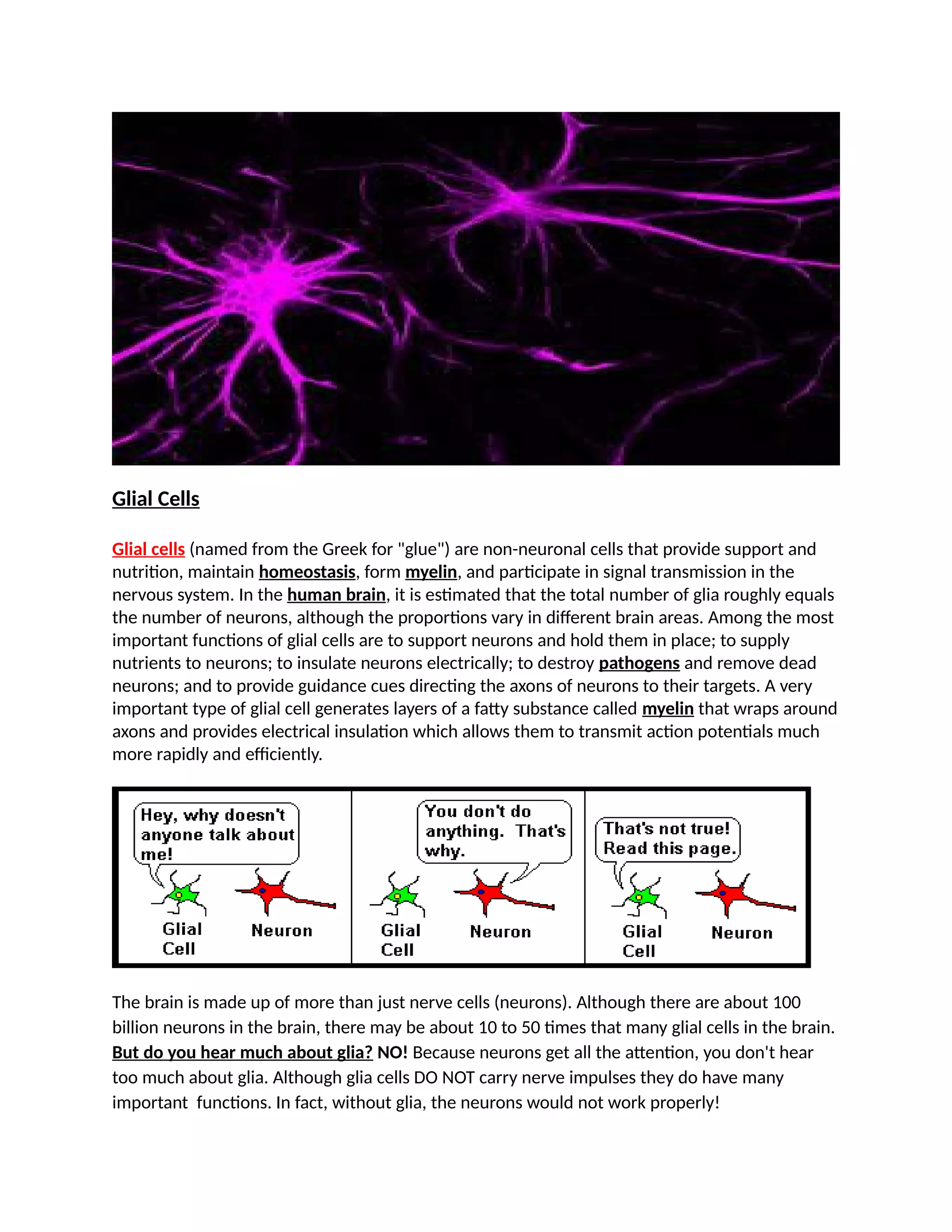 The nervous system | PDF