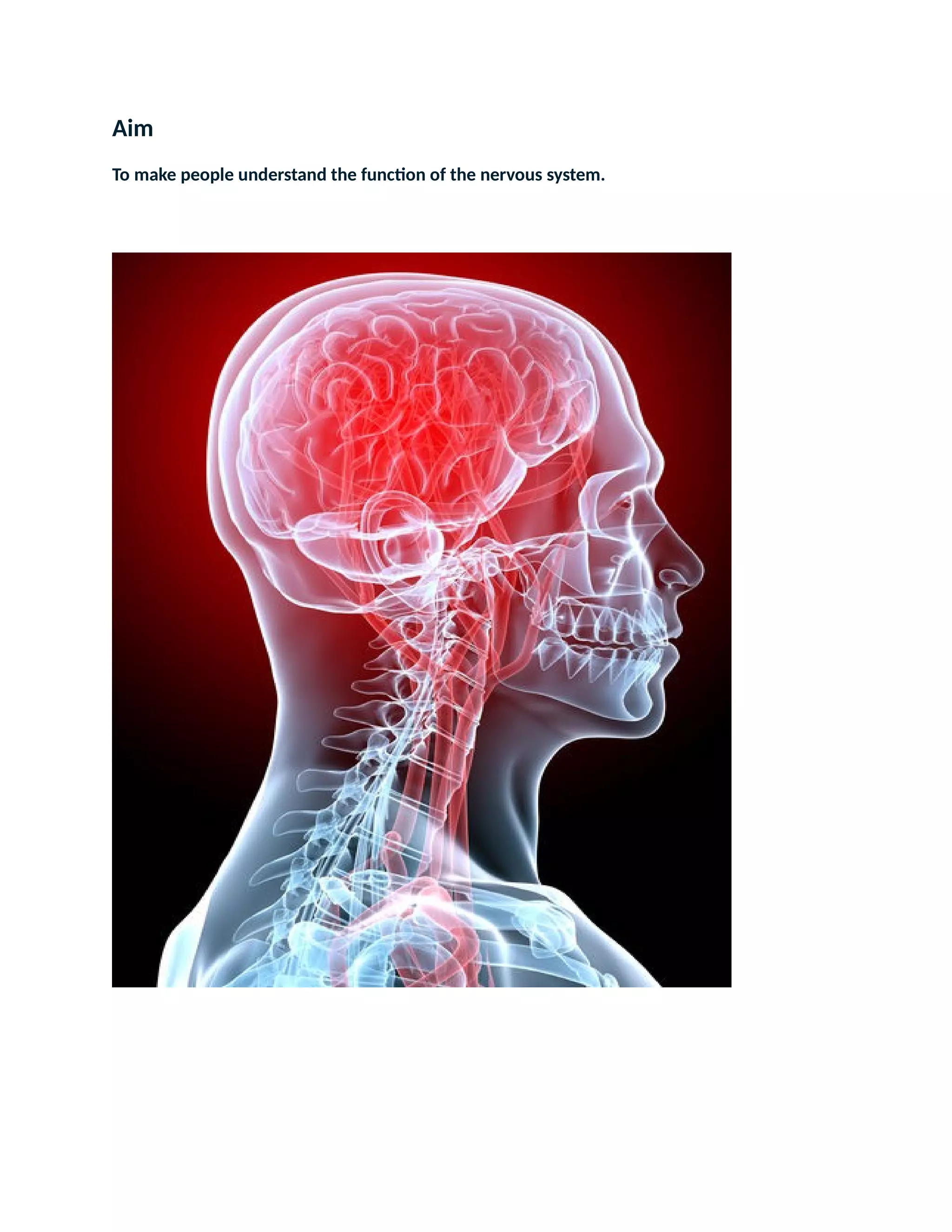 The nervous system | PDF | Brain and Nervous System Disorders ...