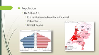 The netherlands presentation | PPTX
