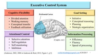 The neural correlates of executive function | PPTX