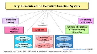 The neural correlates of executive function | PPTX