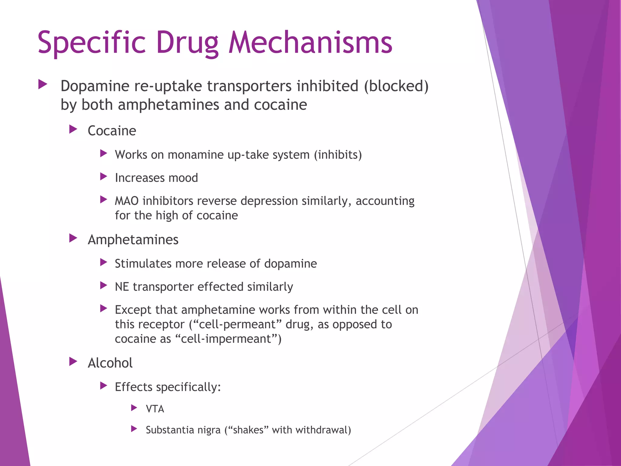 The Neurobiology of Addiction | PPT