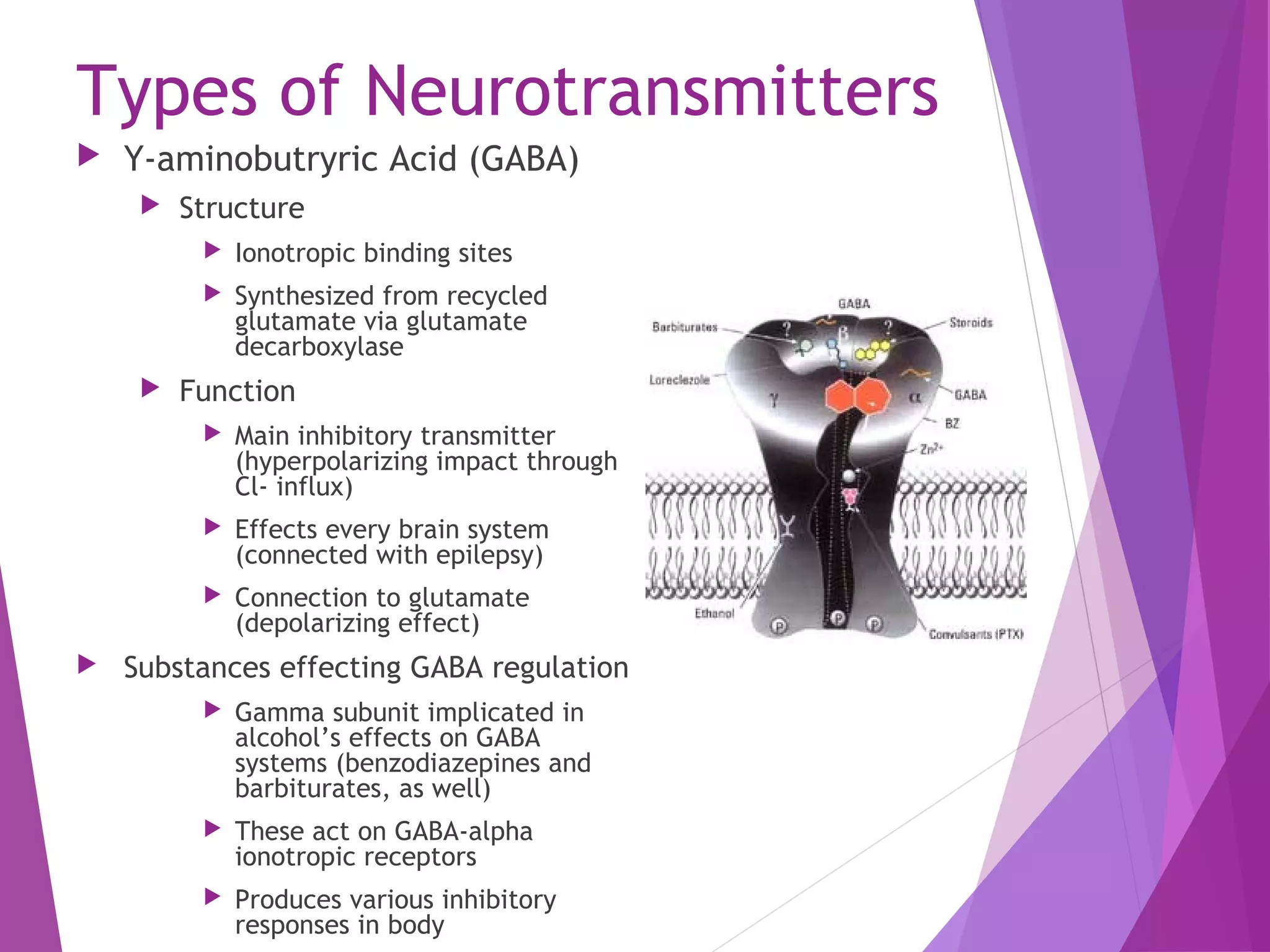 The Neurobiology of Addiction | PPT