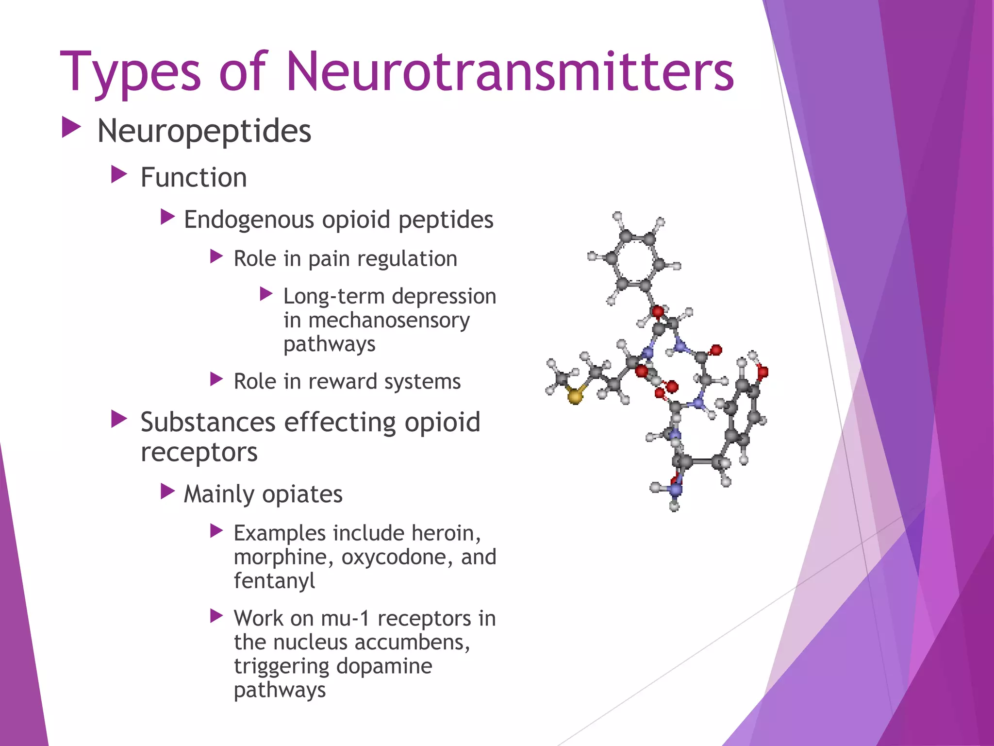 The Neurobiology of Addiction | PPT