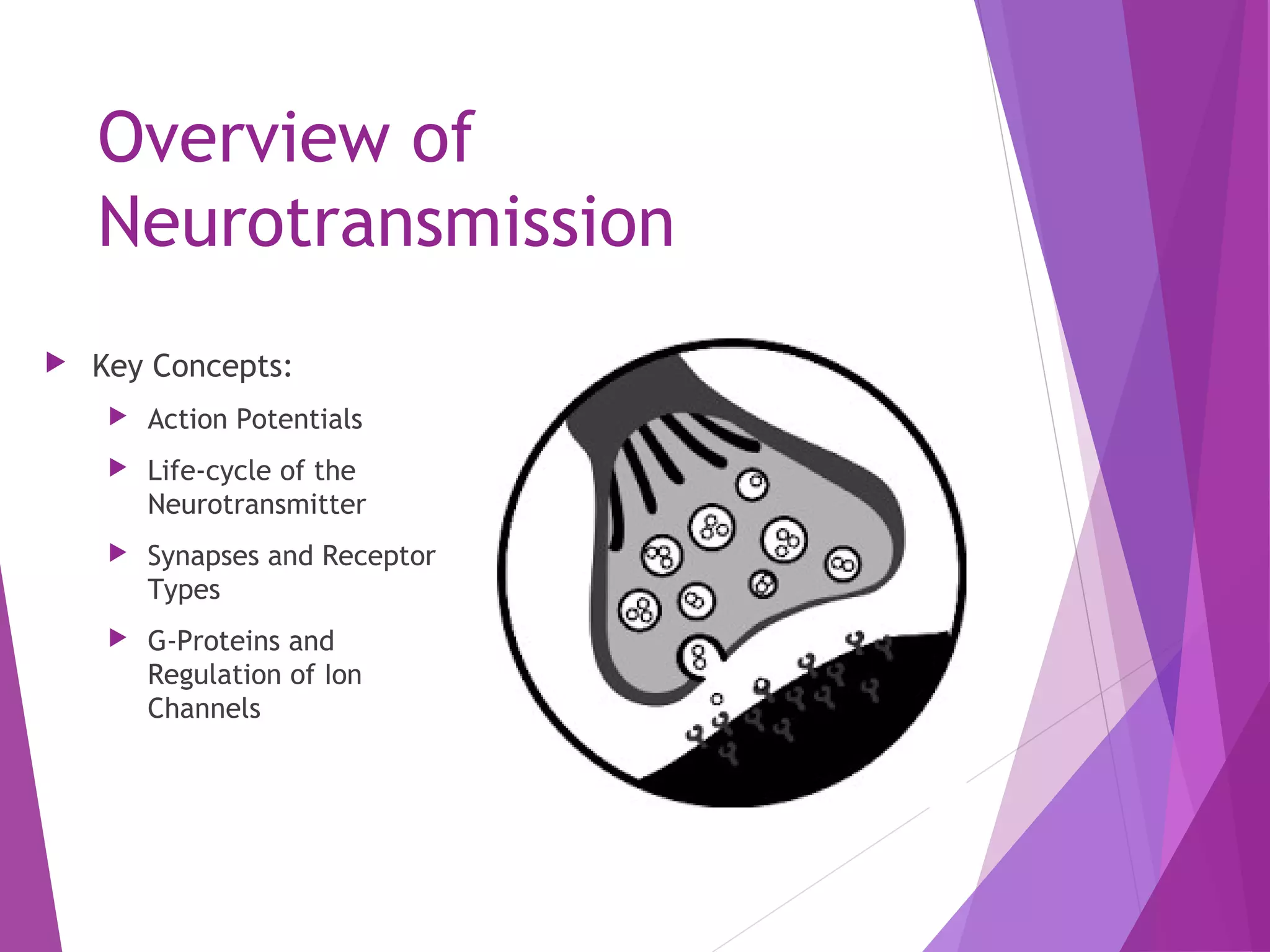 The Neurobiology of Addiction | PPT