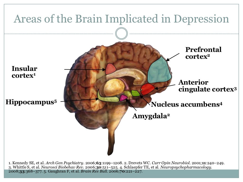 The Neurobiology of Depression (Dr Imran Waheed)