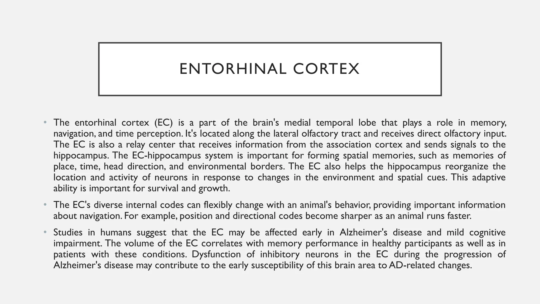 The neurobiology of Everyday Life - Alzheimer's disease | PDF
