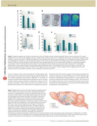 The neurobiology of pair bonding | PDF