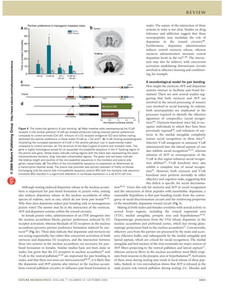 The neurobiology of pair bonding | PDF | Chemistry | Science