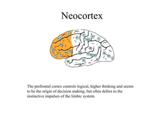 The Neurobiology of Procrastination | PPTX