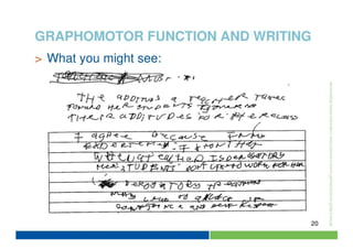 The Neurodevelopmental Constructs | PDF