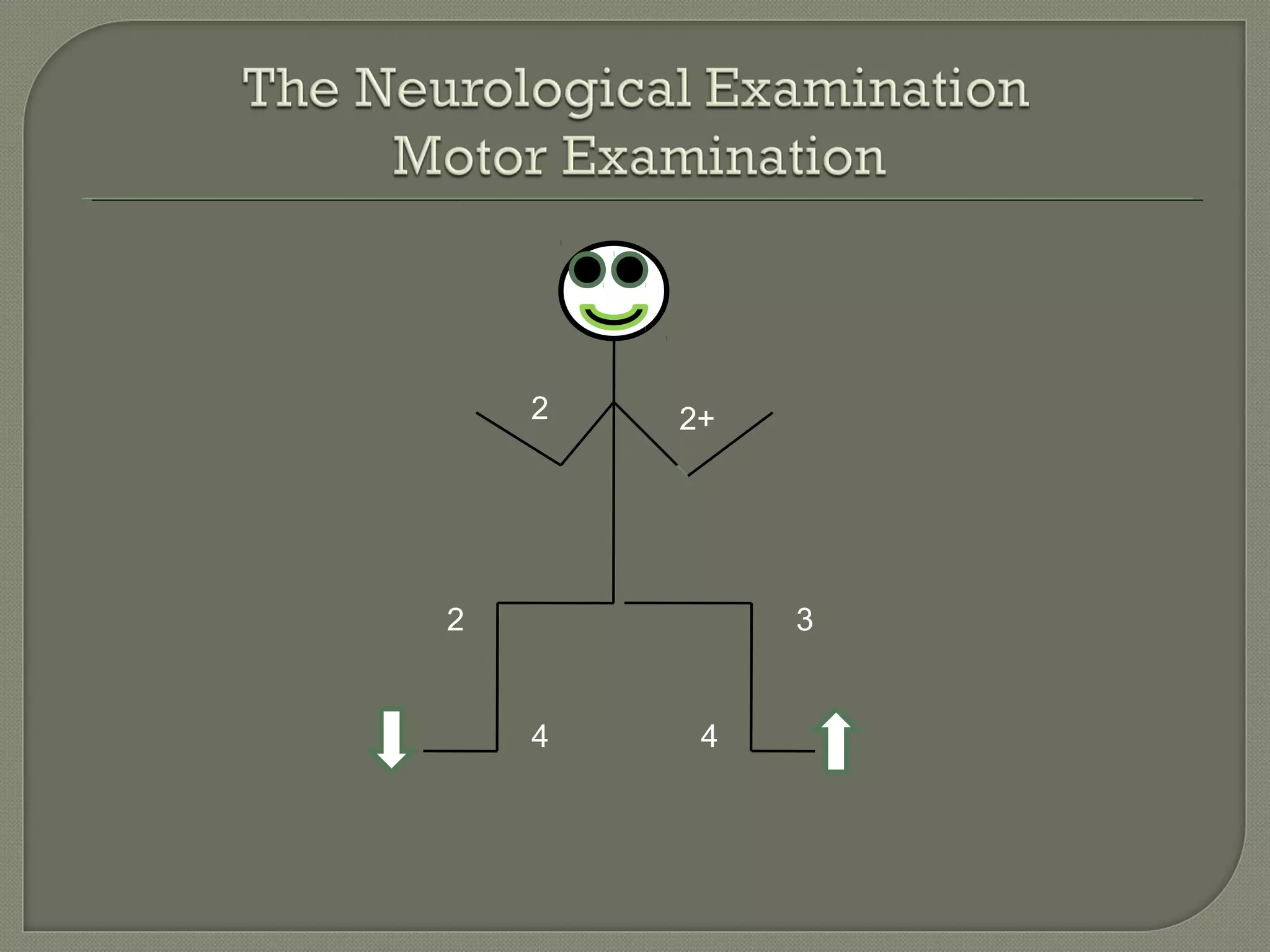 The neuro exam.2010