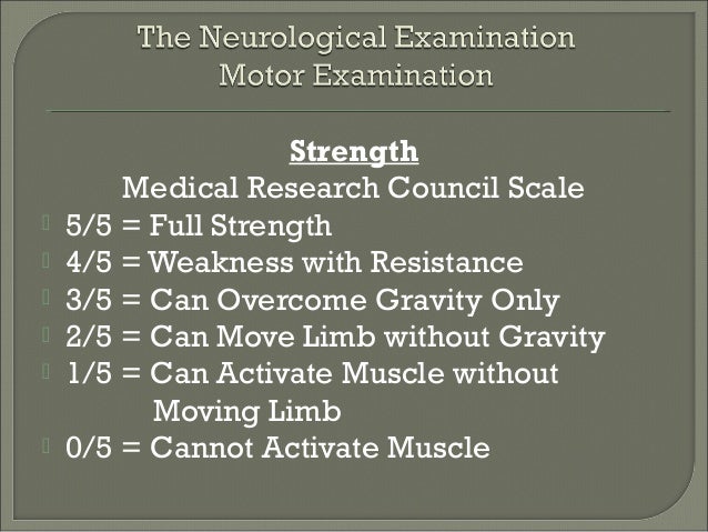 The neuro exam.2010 copy