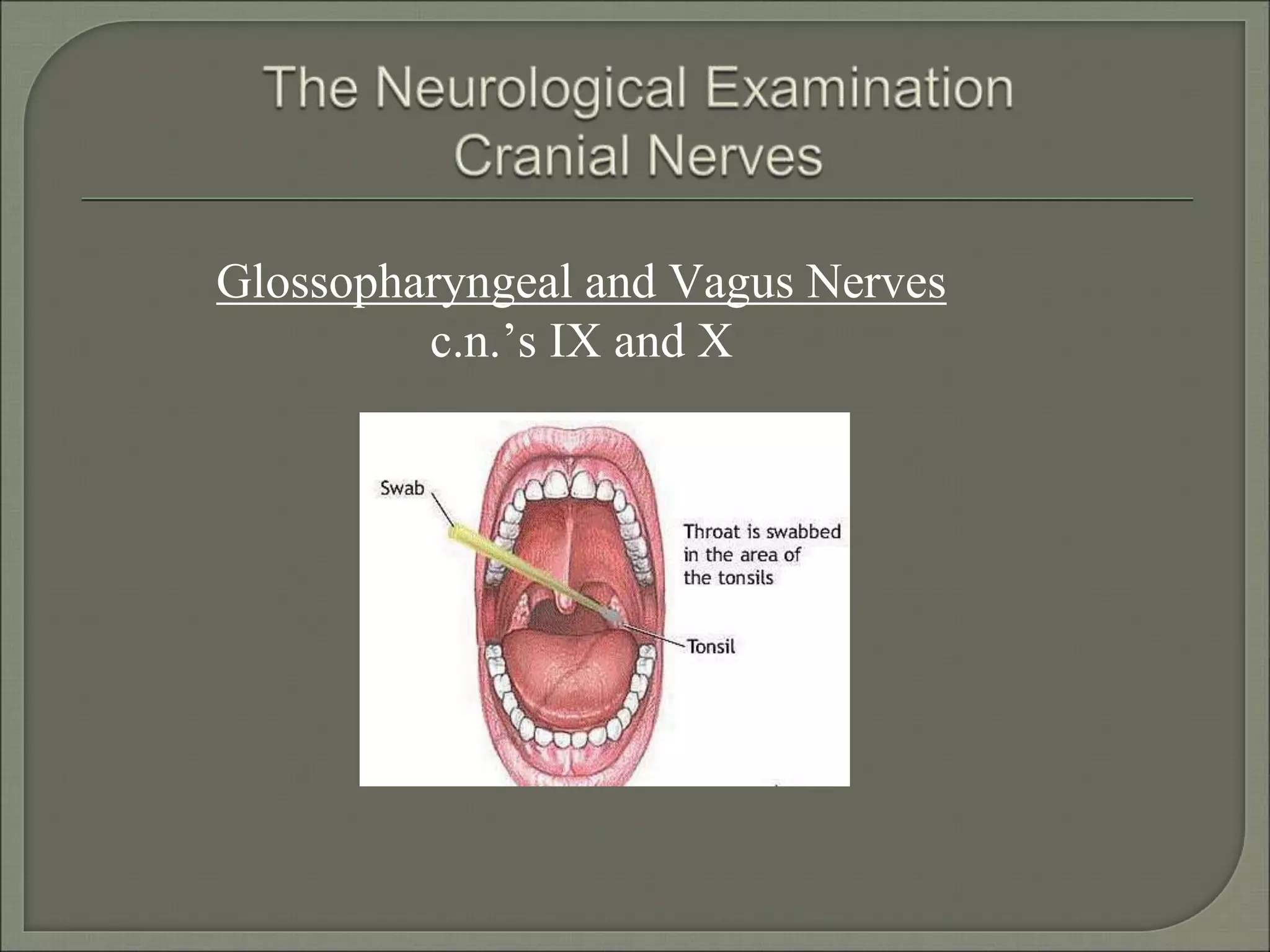 The Neuro Exam.pptx