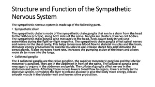THE NEUROLOGICAL SYSTEM : CEREBROVASCULAR DISORDERS | PPTX