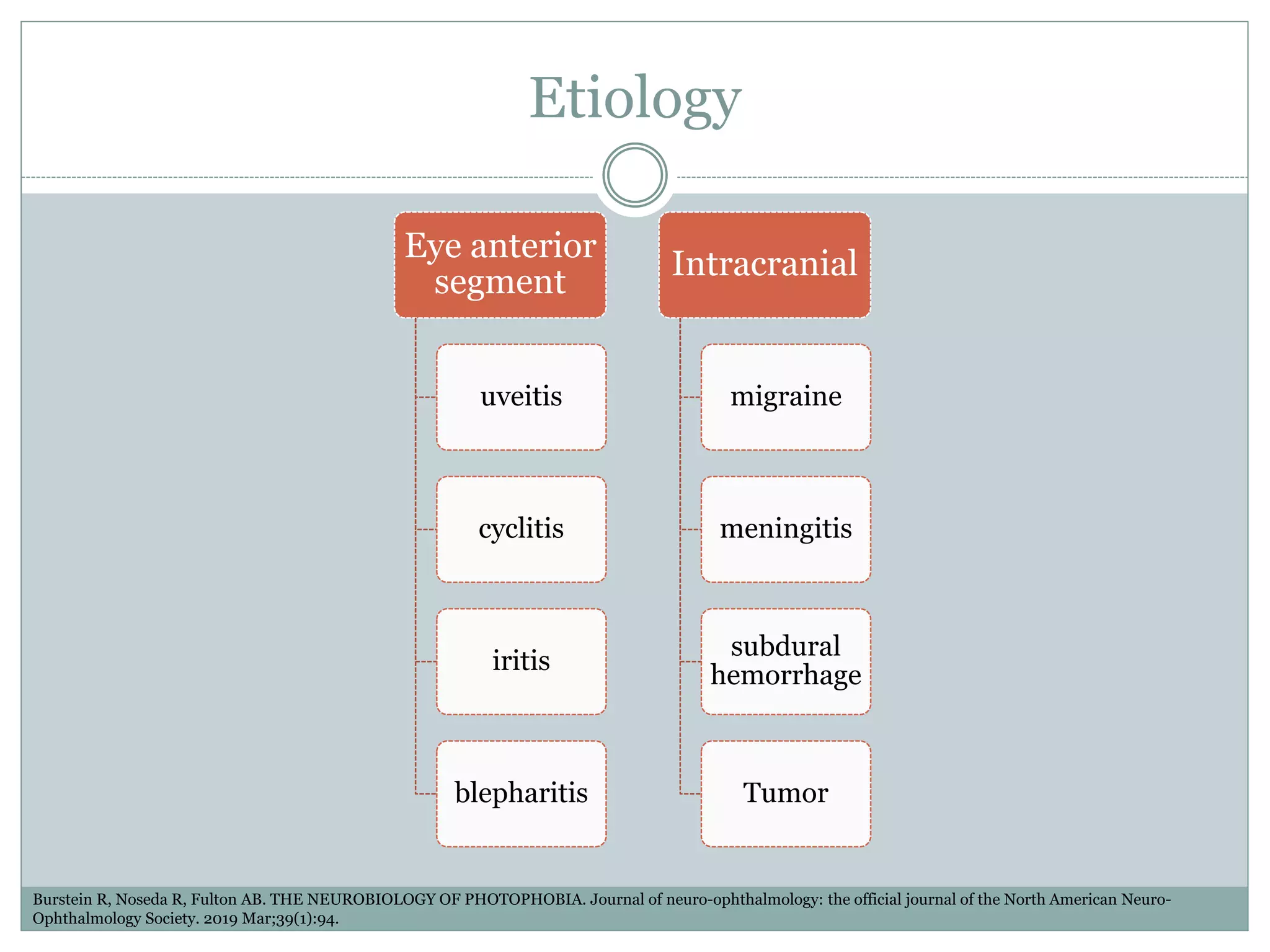 The Neuromechanism of Photophobia | PPTX