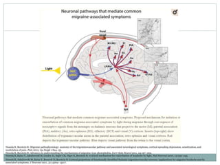 The Neuromechanism of Photophobia | PPTX