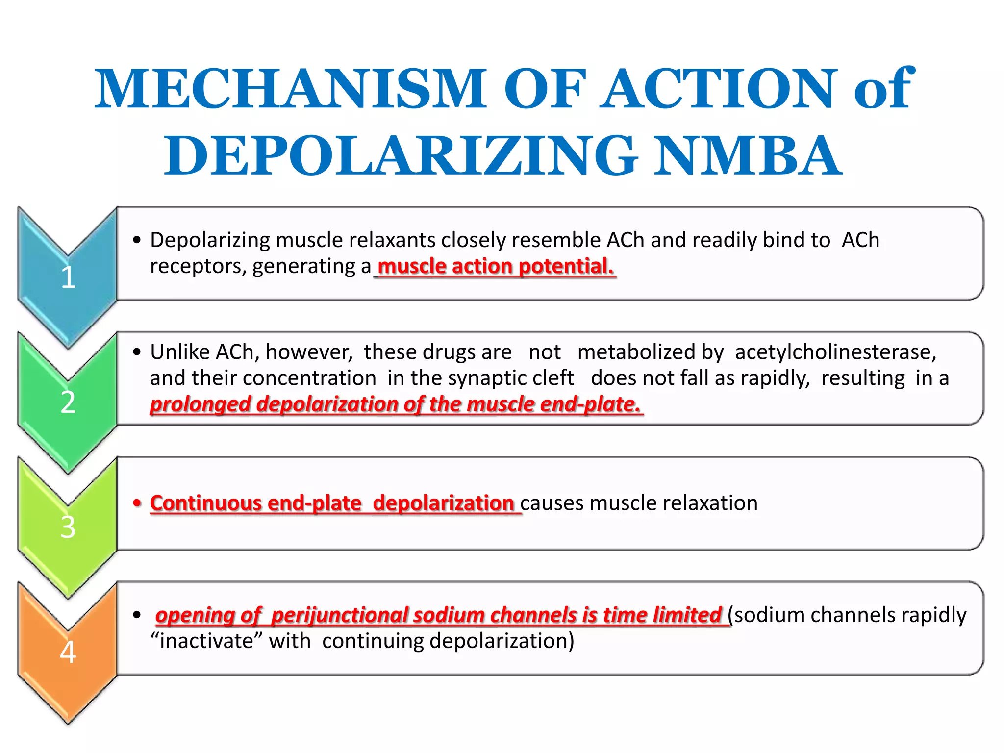 The neuromuscular physiology | PPTX