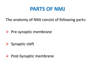 The neuromuscular physiology | PPTX