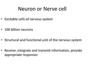 The Neuron.pdf