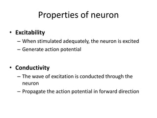 The Neuron.pdf