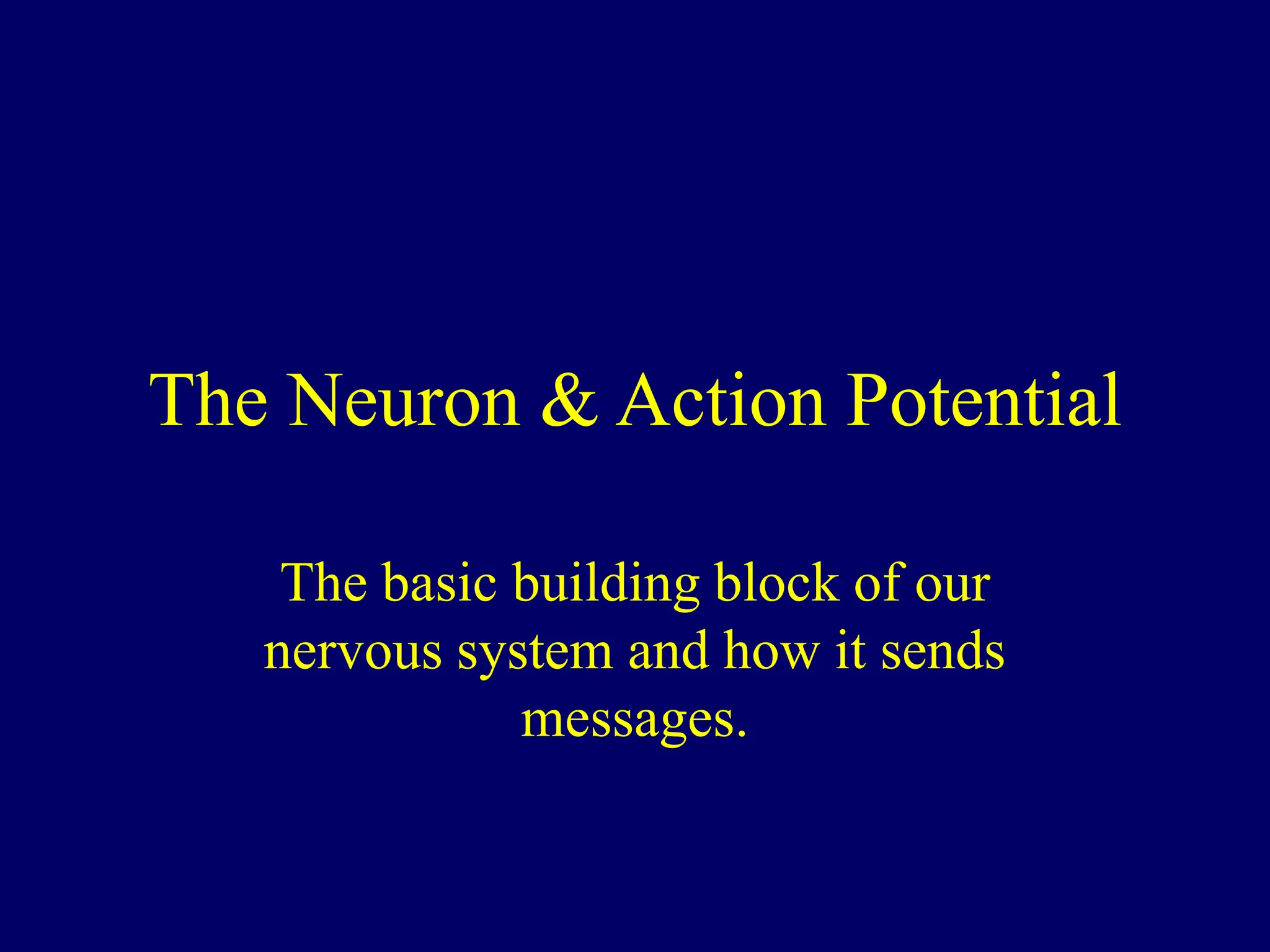 The Neuron and Action Potential PPT. ppt | PPT